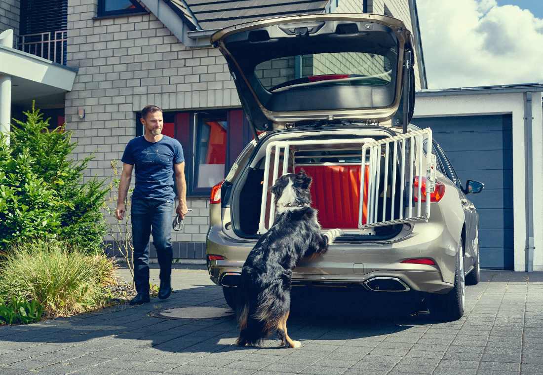 Ford patenta el 'Modo mascota' para la seguridad de los animales cuando ...