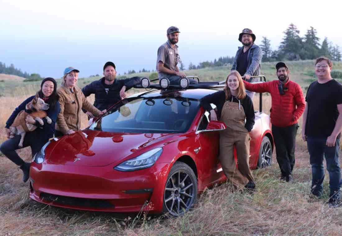¡El Tesla pickup sí existe! Una mujer lo hizo posible transformando su ...
