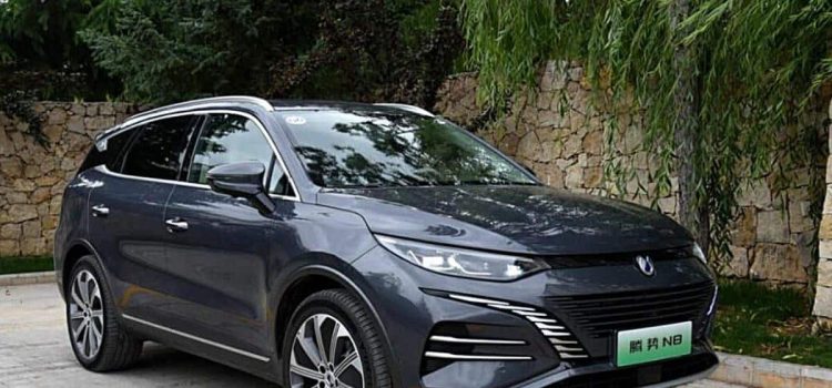 Denza n8: todo lo que usted quiere saber