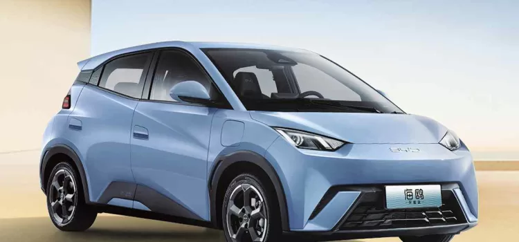 byd dolphin mini: todo lo que usted quiere saber
